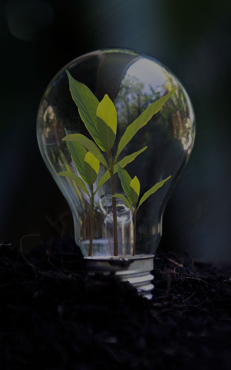 Optimizing Home Energy Use in Winter