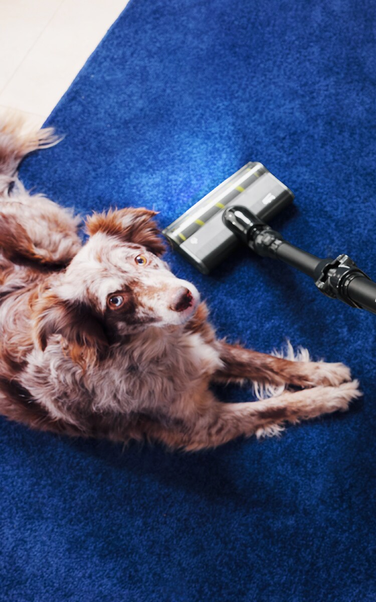 efficient cleaning tips using vacuum cleaners